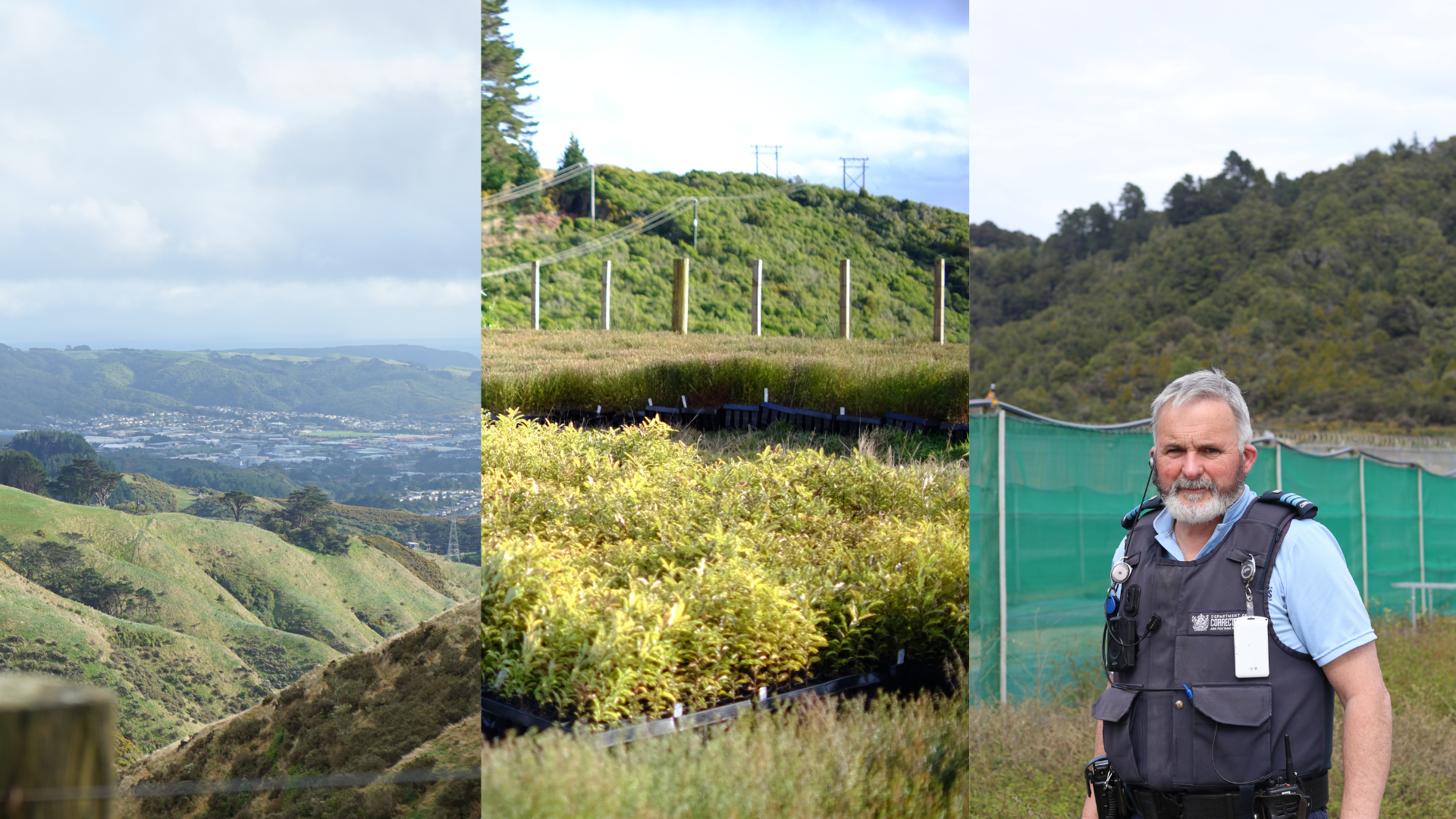 Greater Wellington — Thousands of plants grown in prison to regreen ...